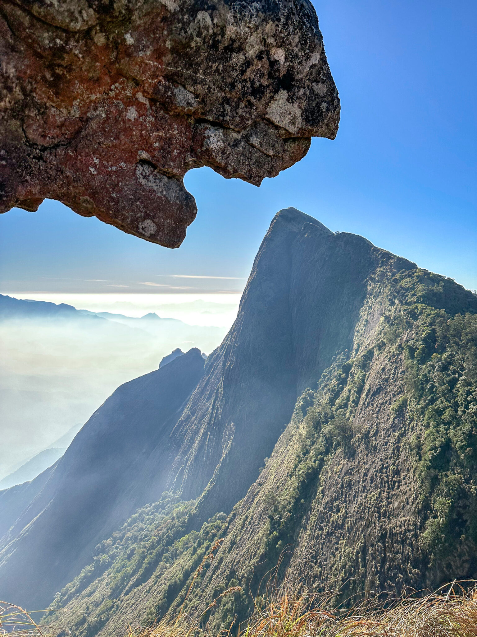 Munnar - A Complete Travel Guide - Beantown Traveller