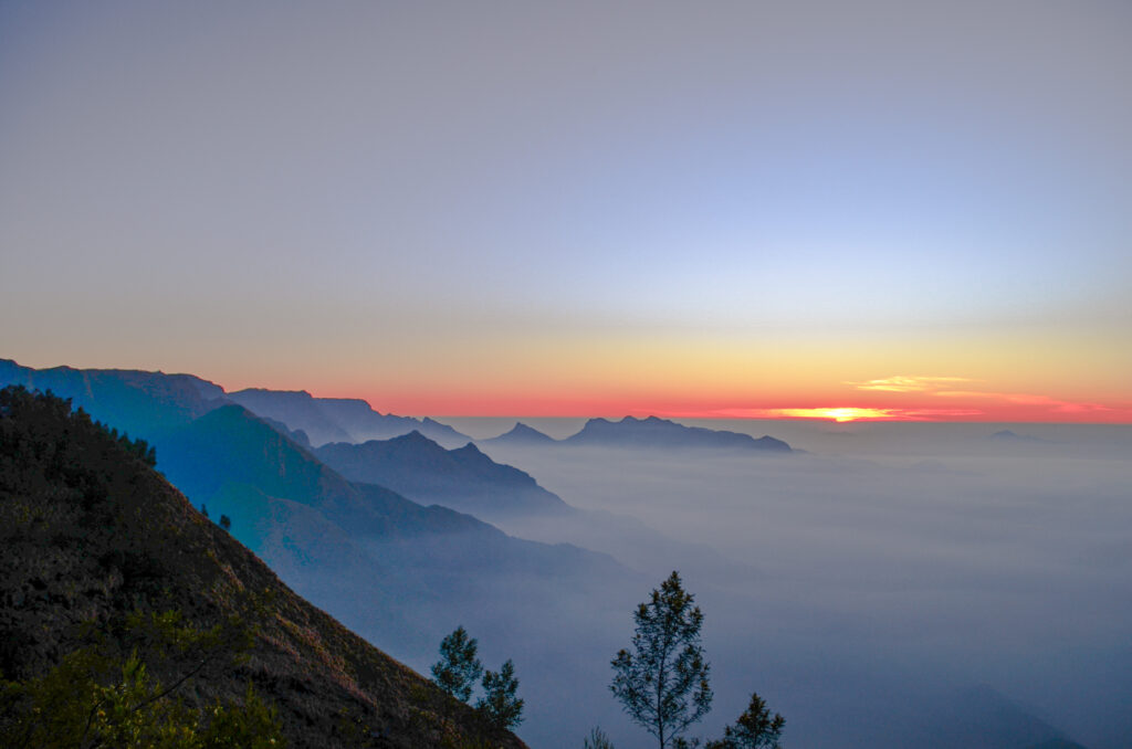 Munnar - A Complete Travel Guide - Beantown Traveller