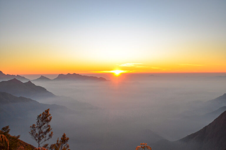Munnar - A Complete Travel Guide - Beantown Traveller