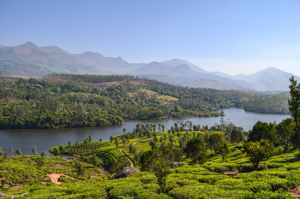 Munnar - A Complete Travel Guide - Beantown Traveller