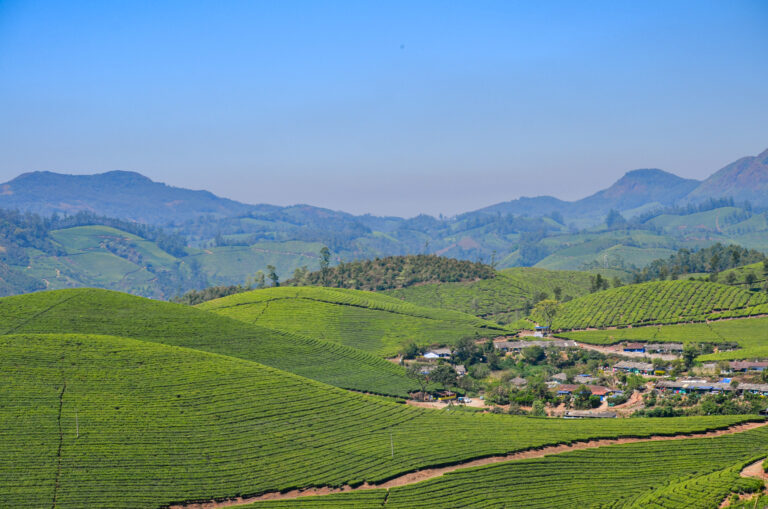 Munnar - A Complete Travel Guide - Beantown Traveller